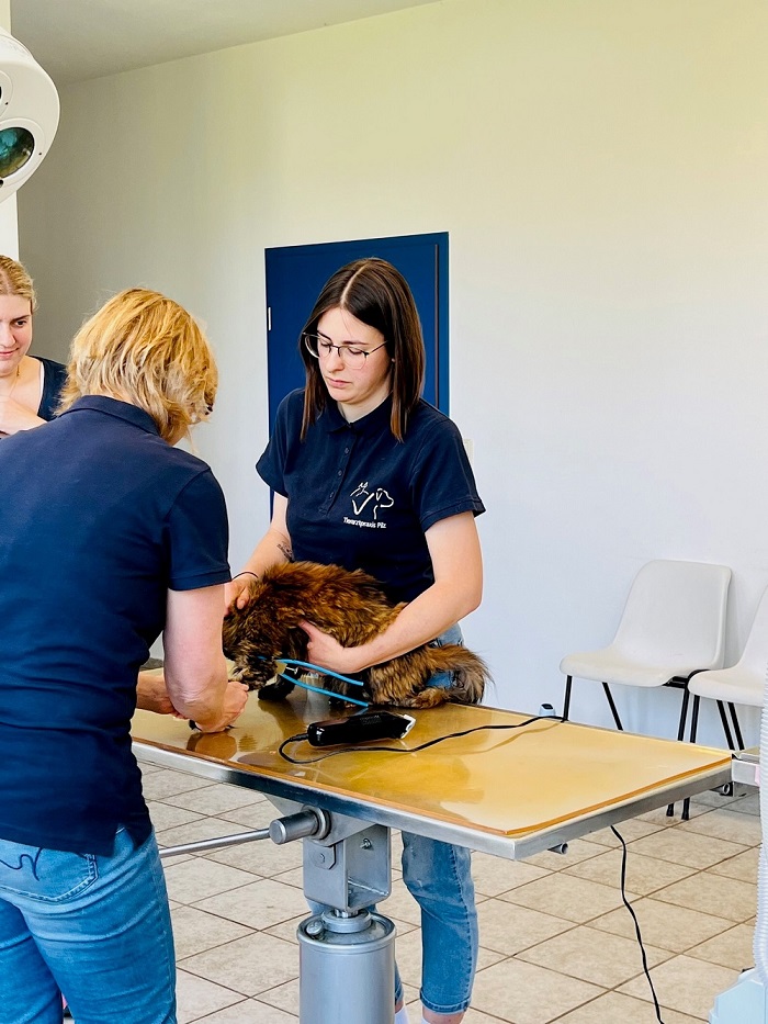 Team - Tierarztpraxis Pilz in Haigerloch